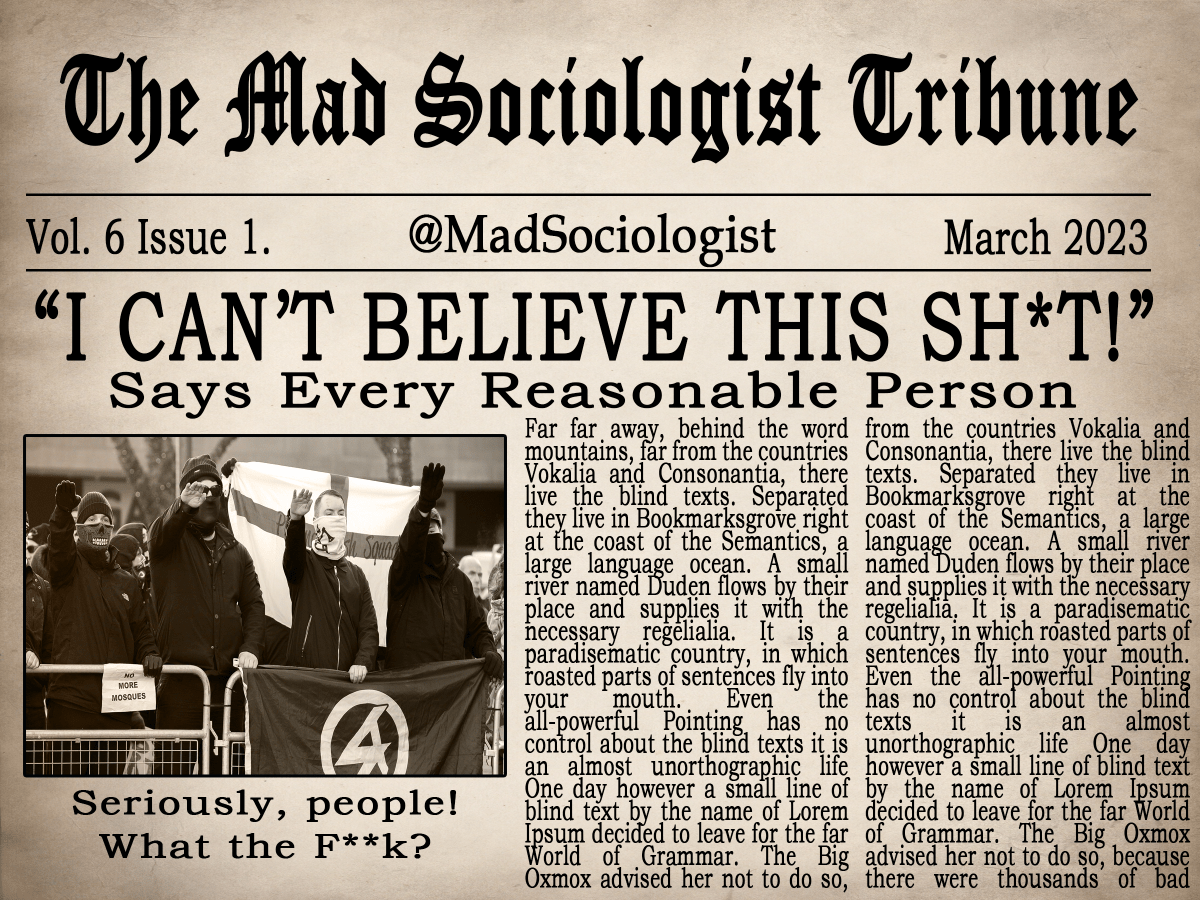 Making Sense of this Mess – The Mad Sociologist Blog